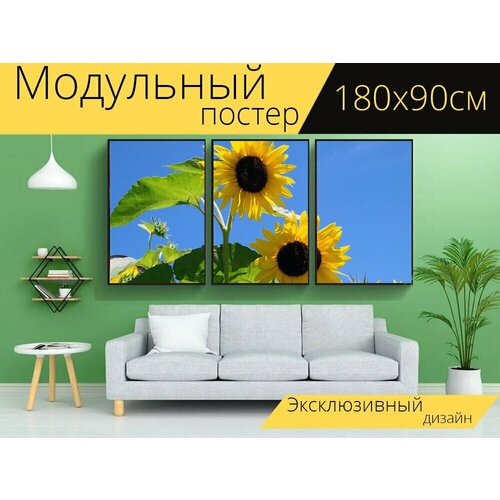 Модульный постер "Подсолнухи, солнечный свет, цветок" 180 x 90 см. для интерьера