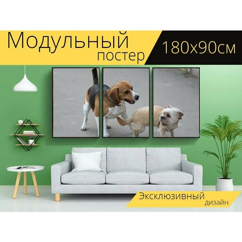 Модульный постер "Бигль, пудель, собака" 180 x 90 см. для интерьера