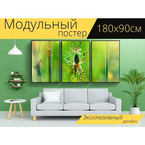 Модульный постер "Tygrzykiпальцы свадебная, совокупление, девушки" 180 x 90 см. для интерьера