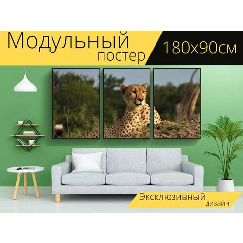 Модульный постер "Гепард, животное, сафари" 180 x 90 см. для интерьера