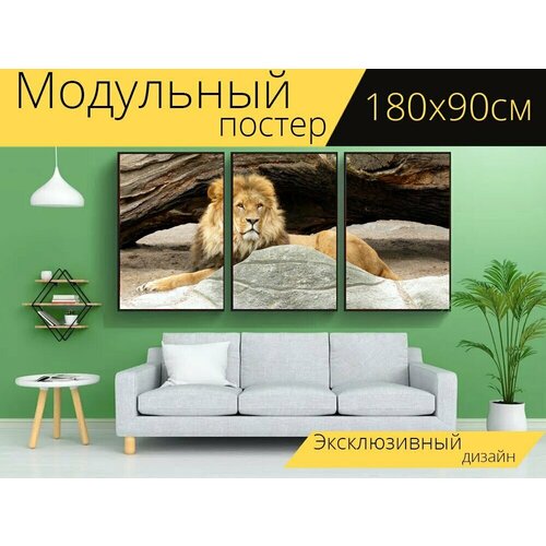 Модульный постер "Лев, самец лев, львиная грива" 180 x 90 см. для интерьера
