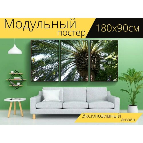 Модульный постер "Пальма, дерево, тропический" 180 x 90 см. для интерьера