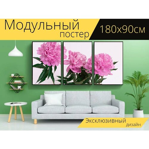 Модульный постер "Пионы, розовый, розовые пионы" 180 x 90 см. для интерьера
