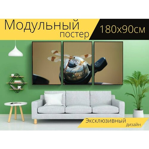 Модульный постер "Стрекоза, белл, насекомое" 180 x 90 см. для интерьера