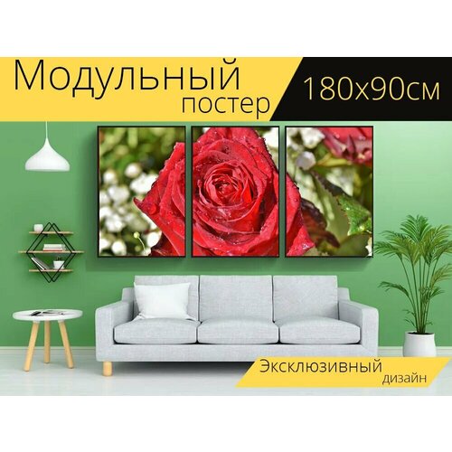 Модульный постер "Роза, благородная роза, букет из роз" 180 x 90 см. для интерьера