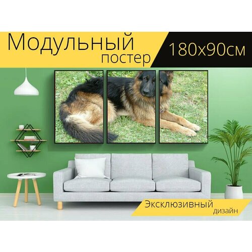 Модульный постер "Животное, собака, немецкая овчарка" 180 x 90 см. для интерьера