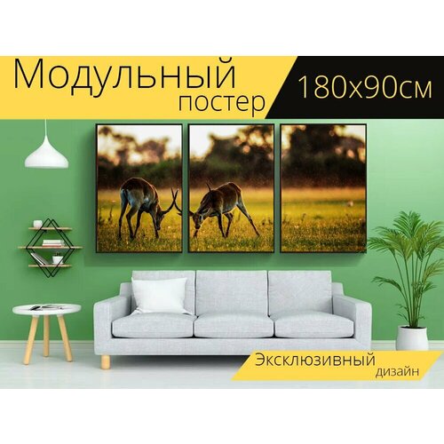 Модульный постер "Антилопа, млекопитающие, животное" 180 x 90 см. для интерьера