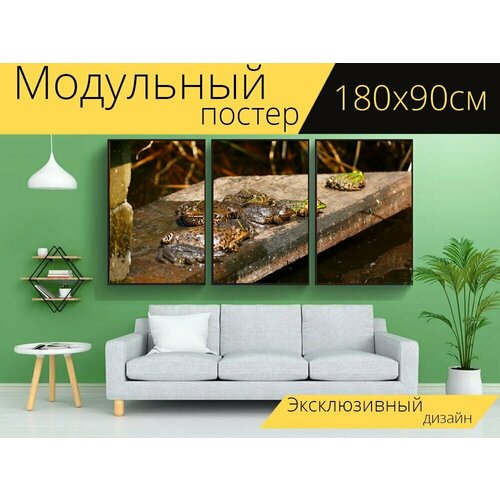 Модульный постер "Лягушки, амфибия, лягушка" 180 x 90 см. для интерьера