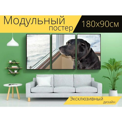 Модульный постер "Лаборатория, собака, ретривер" 180 x 90 см. для интерьера