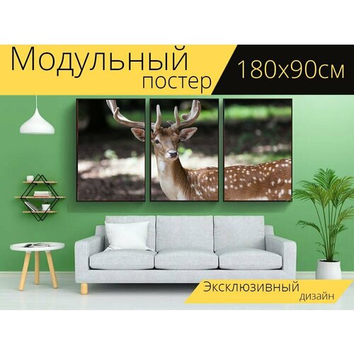 Модульный постер "Природа, олень, рог" 180 x 90 см. для интерьера