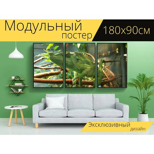 Модульный постер "Хамелеон, зеленый, зоопарк" 180 x 90 см. для интерьера