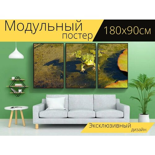Модульный постер "Лягушка, вода, пруд" 180 x 90 см. для интерьера