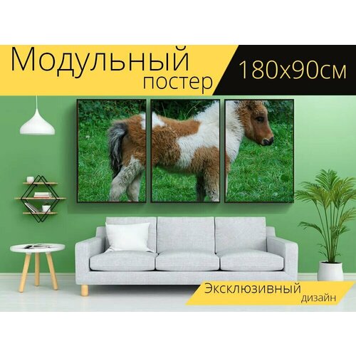 Модульный постер "Пони, животное, милый" 180 x 90 см. для интерьера