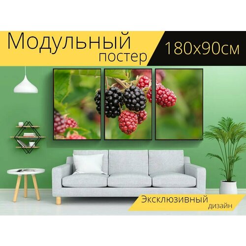 Модульный постер "Ягода, ежевика, фрукты" 180 x 90 см. для интерьера