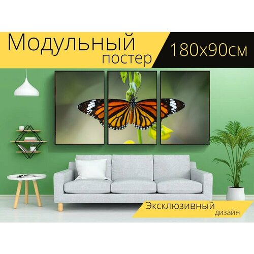 Модульный постер "Простой тигр, данай хрисипп, бабочка" 180 x 90 см. для интерьера