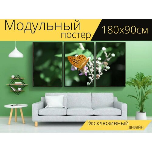 Модульный постер "Бабочка, природа, цвета" 180 x 90 см. для интерьера