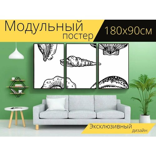 Модульный постер "Штриховая графика, ракушки, летом" 180 x 90 см. для интерьера