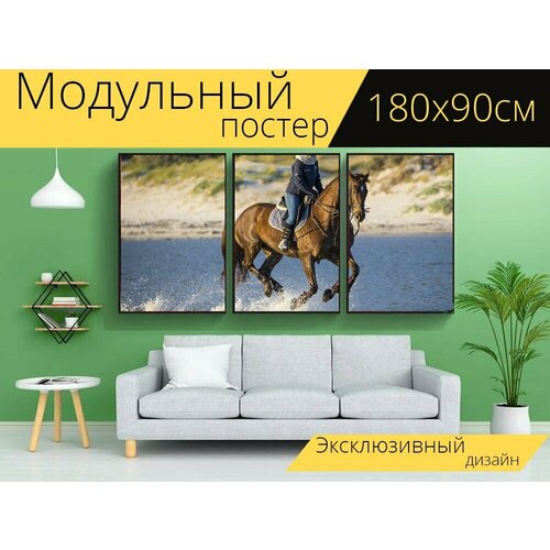 Модульный постер "Лошадь, верховая езда, животное" 180 x 90 см. для интерьера