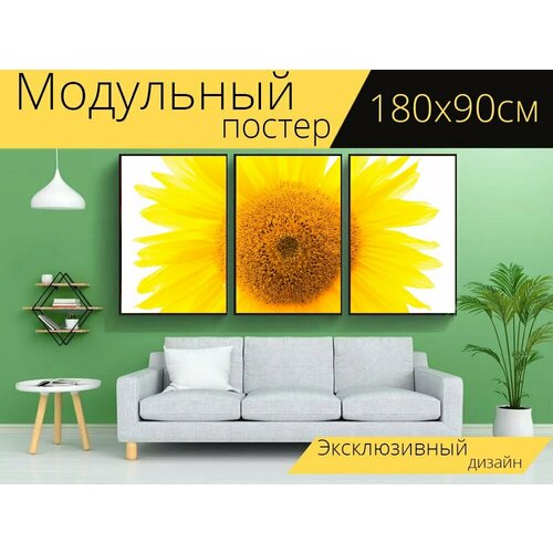 Модульный постер "Подсолнух, желтый, цветок" 180 x 90 см. для интерьера