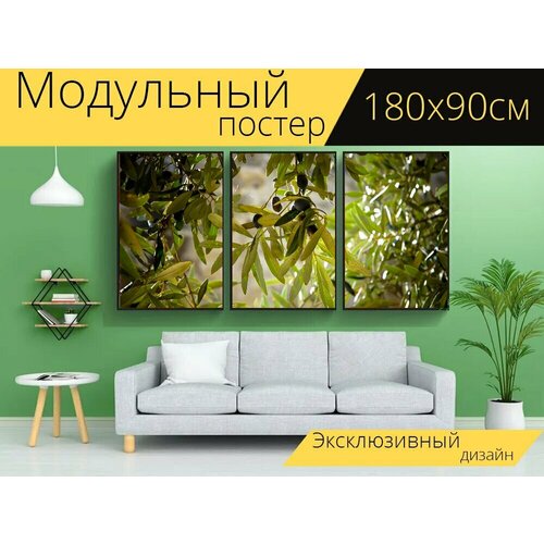 Модульный постер "Оливки, дерево, оливковое дерево" 180 x 90 см. для интерьера