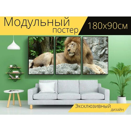 Модульный постер "Лев, зоопарк, таиланд" 180 x 90 см. для интерьера