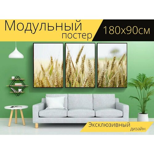 Модульный постер "Пшеница, пшеничное поле, кукурузное поле" 180 x 90 см. для интерьера