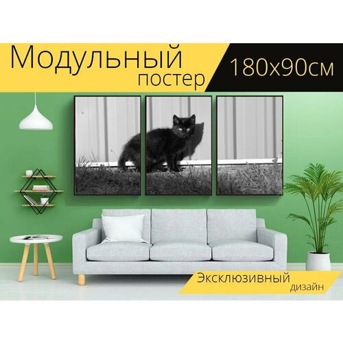 Модульный постер "Черный кот, сад, черный и белый" 180 x 90 см. для интерьера
