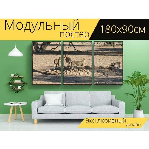 Модульный постер "Гепарды, калахари, дикая природа" 180 x 90 см. для интерьера