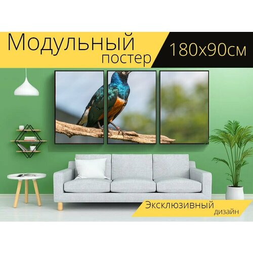 Модульный постер "Птица, экзотика, красочный" 180 x 90 см. для интерьера