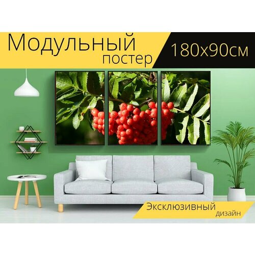Модульный постер "Ягоды рябины, рябина, ягода" 180 x 90 см. для интерьера