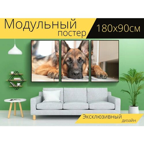 Модульный постер "Немецкая овчарка, собака, домашнее животное" 180 x 90 см. для интерьера