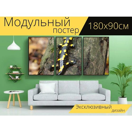 Модульный постер "Саламандра, саламандра саламандра" 180 x 90 см. для интерьера