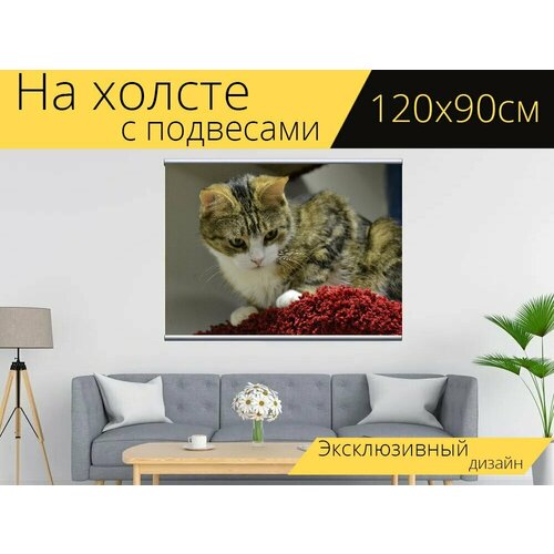 Картина на холсте "Кот, пушистый, красивый кот" с подвесами 120х90 см. для интерьера