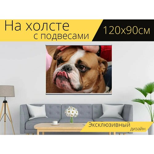Картина на холсте "Бульдог, собачий, собака" с подвесами 120х90 см. для интерьера