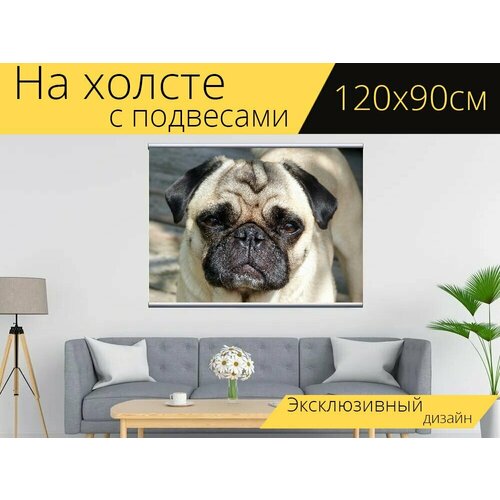 Картина на холсте "Мопс, портрет, собака" с подвесами 120х90 см. для интерьера