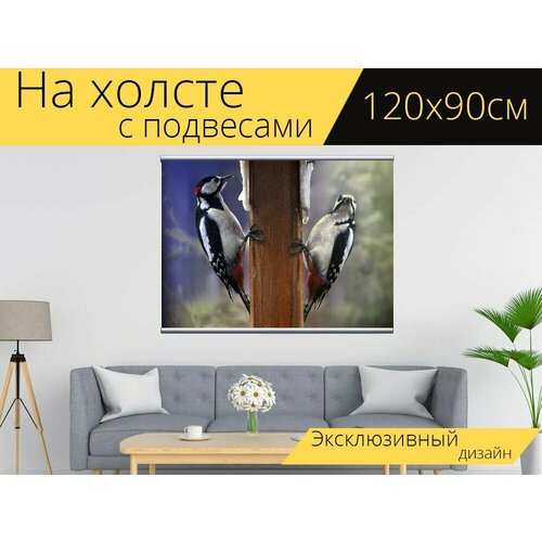 Картина на холсте "Птица, птицы, дятел большой" с подвесами 120х90 см. для интерьера