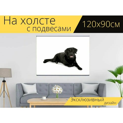 Картина на холсте "Собака, чернить, лабрадор" с подвесами 120х90 см. для интерьера