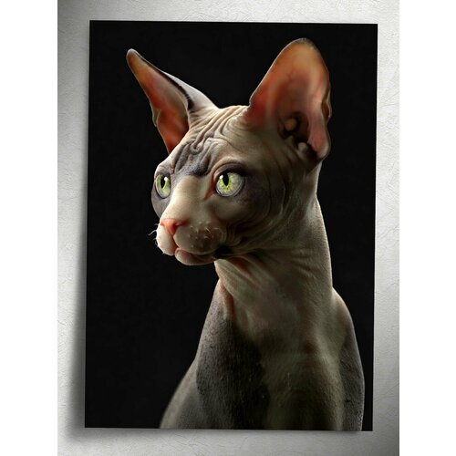 Постер: загадочный кот сфинкс, на А5