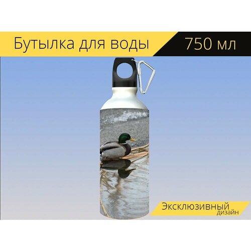 Бутылка фляга для воды "Утка, вода, поток" 750 мл. с карабином и принтом