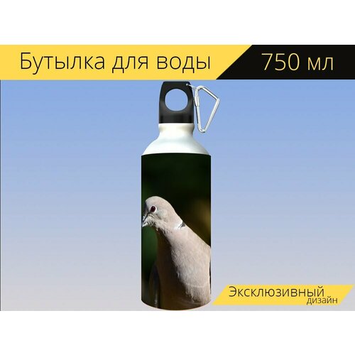 Бутылка фляга для воды "Голубь, индюшачий голубь, птица" 750 мл. с карабином и принтом