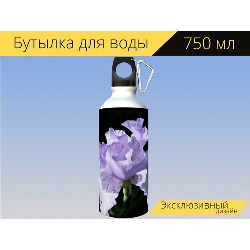 Бутылка фляга для воды "Ирис, кейп код, цветочный" 750 мл. с карабином и принтом