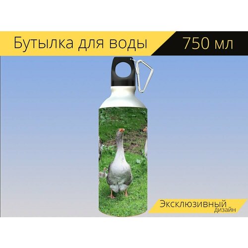 Бутылка фляга для воды "Гуси, померанские гуси, потомство" 750 мл. с карабином и принтом