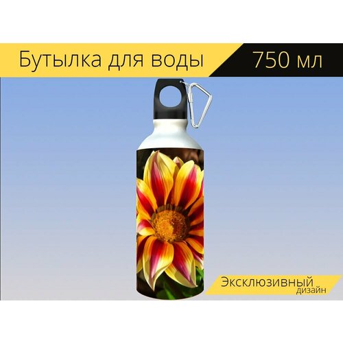 Бутылка фляга для воды "Цветок, салон красоты, цвета" 750 мл. с карабином и принтом