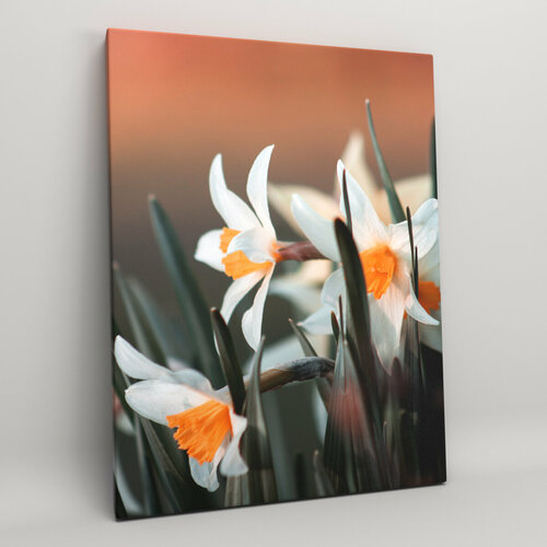 Картина на холсте (интерьерный постер) "Нарциссы" растения, с деревянным подрамником, размер 45х60 см