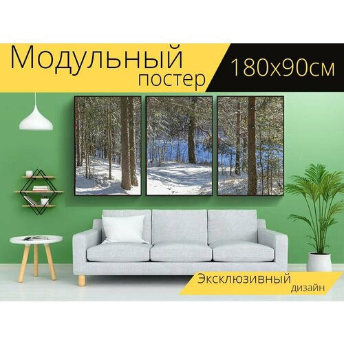 Модульный постер "Зима, сестрорецк, февраль" 180 x 90 см. для интерьера