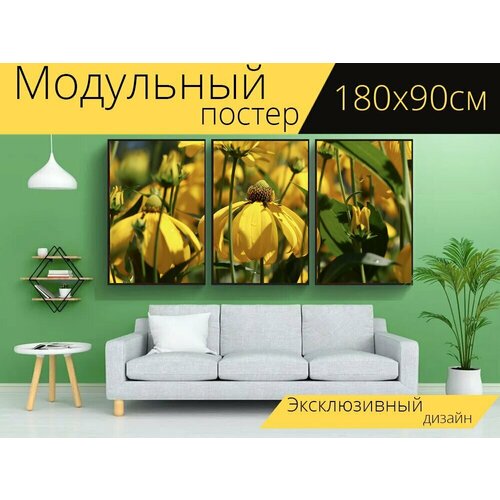 Модульный постер "Рудбекия, эхинацеи, цветок" 180 x 90 см. для интерьера