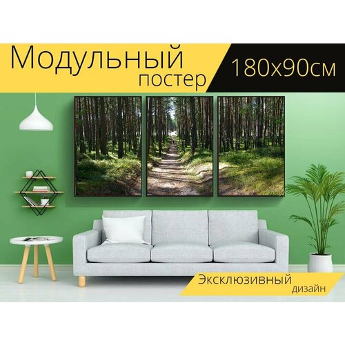 Модульный постер "Сосновый лес, тропа, песок" 180 x 90 см. для интерьера