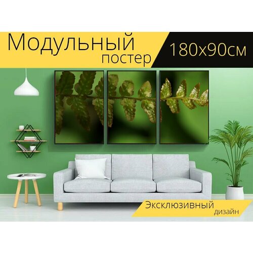 Модульный постер "Папоротник, листья папоротника, зеленый" 180 x 90 см. для интерьера