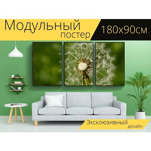 Модульный постер "Одуванчик, семена, цвести" 180 x 90 см. для интерьера