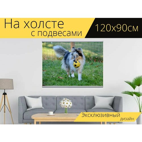 Картина на холсте "Шелти блюмерль, животное, собака" с подвесами 120х90 см. для интерьера